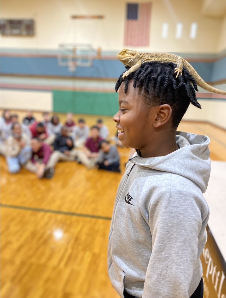 School Reptile Presentations | Realm of the Reptile